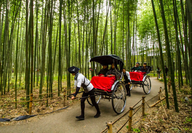 Popular Rickshaw Services for sightseeing and traveling in Tokyo ...