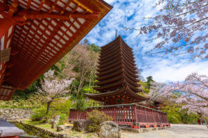 World Heritage Site! A guide to Nara's most popular tourist attractions ...